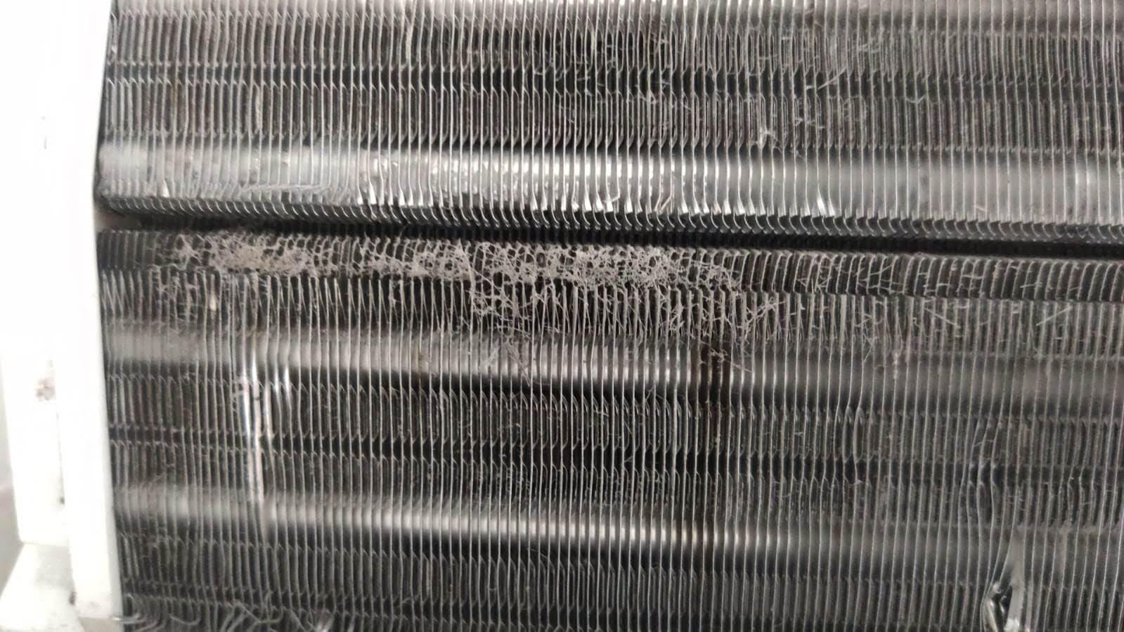 The Importance of Regular Air Con Mould Service | The Healthy Air co.