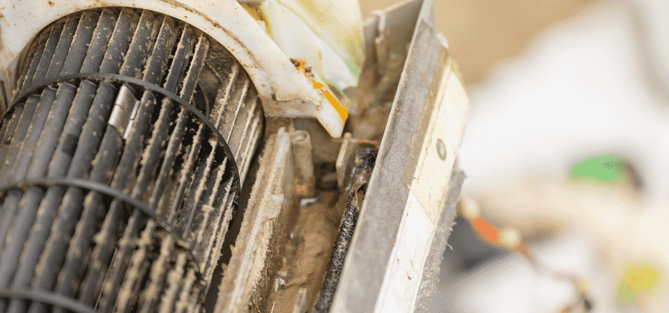 Understanding the Dangers of Air Con Mould: Protect Your Health &and ...