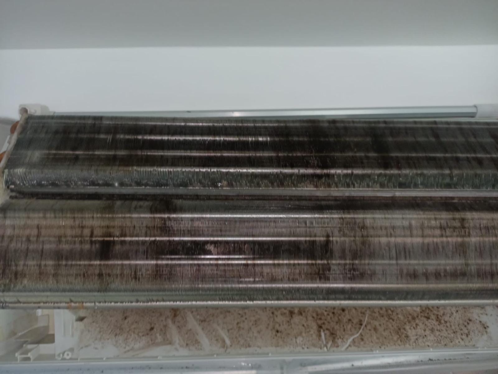 Understanding the Dangers of Air Con Mould: Protect Your Health &and ...